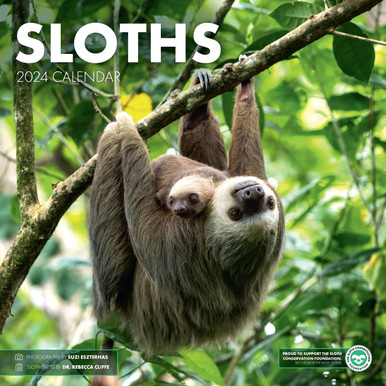 SLOTHS 2024 Wall Calendar | Benefits Sloth Conservation | Sloth Facts ...