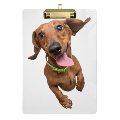 susiyo Happy Dachshund Dog Clipboard, 2.5mm PVC Board for Classroom ...