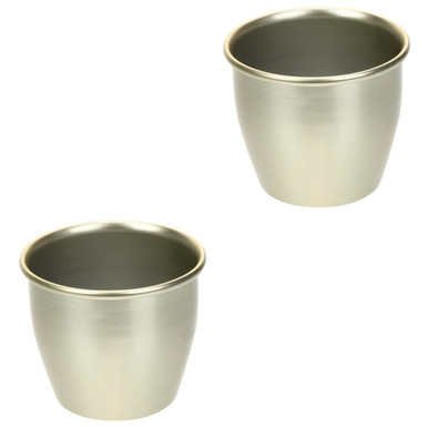 Happyyami 2pcs Mini Flower Pot Metal Succulent Planters Vintage Garden ...