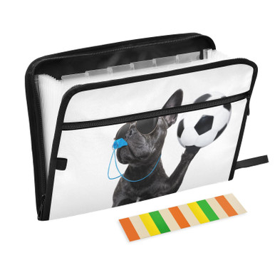 13 Pockets Expanding File Folders with Labels A4 Letter Size Paper ...