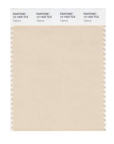 PANTONE Smart 12-1403X Color Swatch Card, Tapioca - Warehousesoverstock