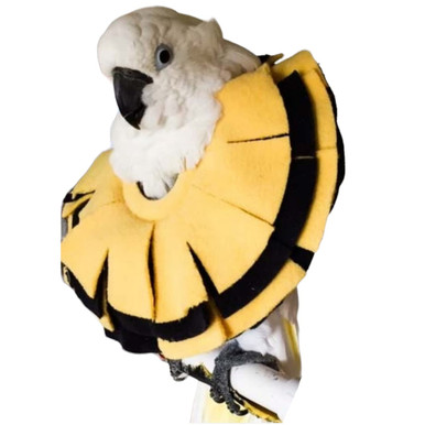 Stiff Insert Cone Bird Collar for Umbrella Cockatoo & Yellow-Crested ...