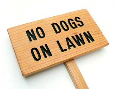 NO DOGS ON LAWN Sign, Garden Marker, Warning Sign, No Dogs Marker ...