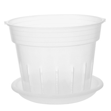 ORFOFE 1 Set Phalaenopsis Hard Planting Cup Bonsai Planter planters for ...