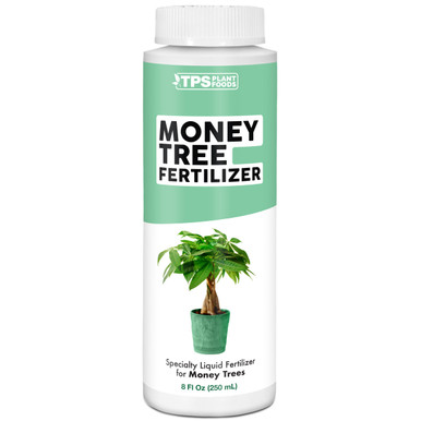 Money Tree Fertilizer for Money Trees and All Pachira Plants, Liquid ...
