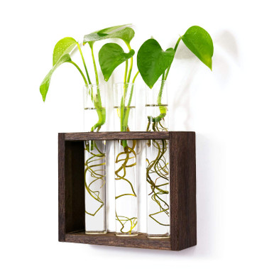 PACDONA Wall Hanging Glass 3 Test Tube Planter Propagation Station ...