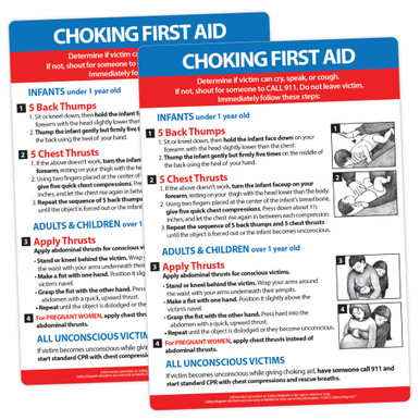 Choking First Aid Fridge Magnets (2 Pack) - Heimlich Maneuver for ...