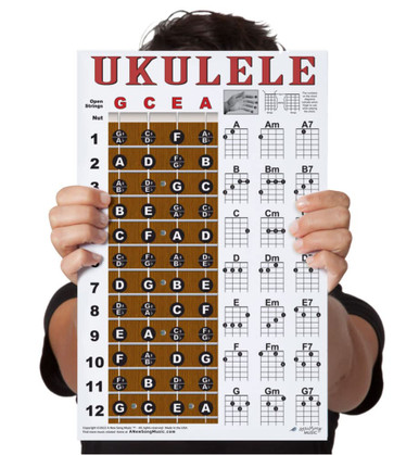Laminated Ukulele Fretboard Notes & Easy Beginner Chord Chart 11"x17 ...