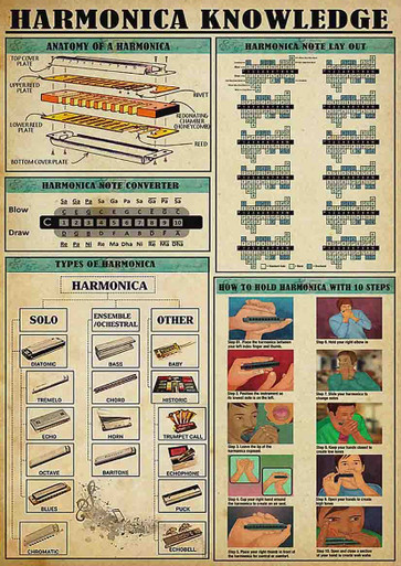 JIUFOTK Harmonica Knowledge Metal Tin Signs Beginner's Guide To ...