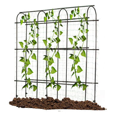 Garden Trellis for Climbing Plants Outdoor | Metal Plant Support ...