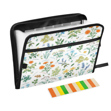 Orange Daisy Flower Herbs Expanding File Folder Cute Botanical ...