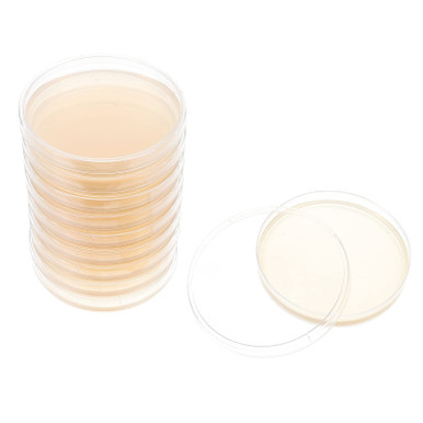Mipcase 10pcs Nutrient Agar Plate Mushroom Agar Petri Plate Agar Medium ...