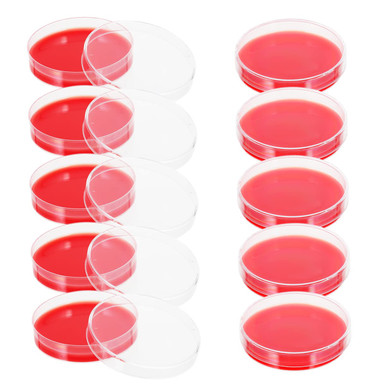 ULTECHNOVO 10pcs Agar Plate Lab Equipment Laboratory Equipment Glass ...