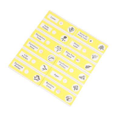 Gatuida 1 Box Biological Slice Sample Prepared Slides Specimen ...