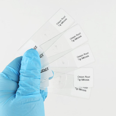 Onion Root Tips Cell Mitosis Microscope Slides Set, 5pcs Pack Show All ...