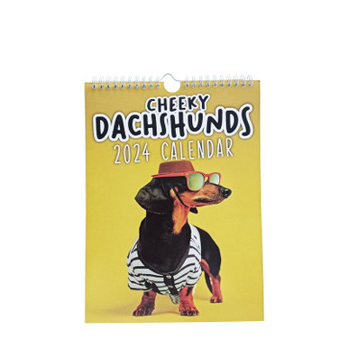 2024 Cheeky Dachshunds Funny Dogs Calendar, Cool Puppy Wall Calendar ...