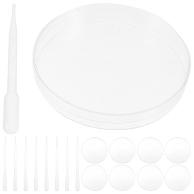 SOLUSTRE 10pcs Labware Laboratory Petri Dish Lab Cell Culture Dishes ...
