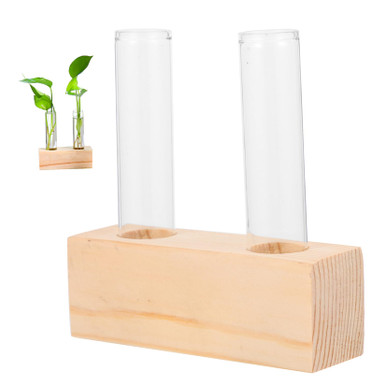 CAXUSD Test Tube Vase Tabletop Plant Terrarium Flower Pots for Indoor ...