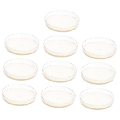 HEALLILY 10pcs Nutrient Agar Plate Petri Dishes with Lids Laboratory ...