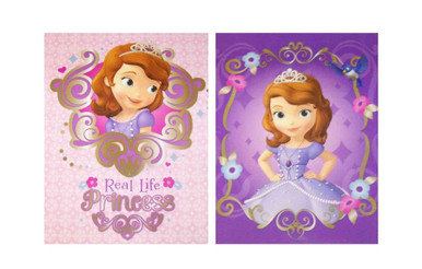 Disney Sofia the First Folder 2 Pack ~ Real Life Princess, Princess ...