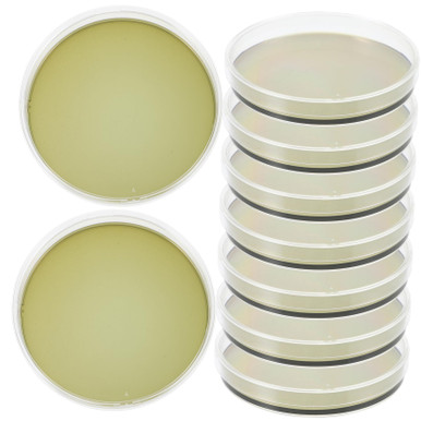 Mobestech 10pcs Agar Test Kit Laboratory Agar Plates Petri Dishes with ...