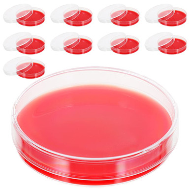 ULTECHNOVO 10pcs Agar Plate Science Growth Projects agar Petri Plate ...