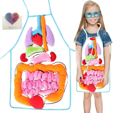 weilishun 3D Early Learning Organ Anatomy Toys - DIY Organ Apron, Human ...