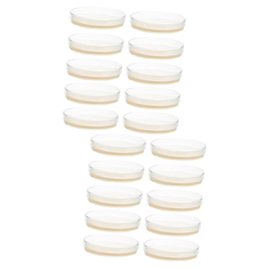 GLEAVI 20 Pcs Nutrient Agar Plate Molds Petri Dish Glass Agar Plates ...