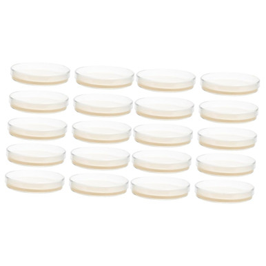 Healvian 20 Pcs Nutrient Agar Plate Educational Science Prepoured Agar ...