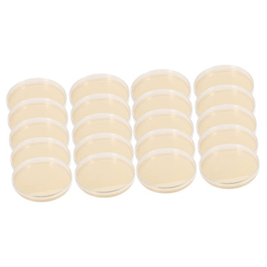 DOITOOL 20 Pcs Nutrient Agar Plate Biology Petri Dish Stuffies for ...