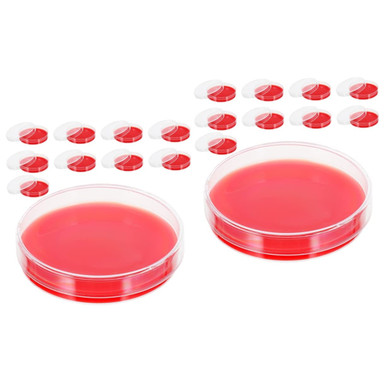 ULTECHNOVO 20 Pcs Agar Plate Science Growth Projects Agar Medium Plates ...