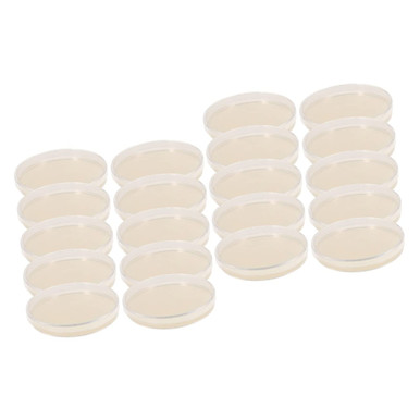ULTECHNOVO 20 Pcs Nutrient Agar Plate Tissue Culture Kit Driveway ...