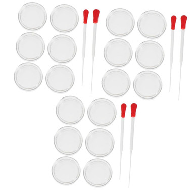 Hemoton 18 Pcs Petri Dish Glass Petri Plate Glassware Lab Reaction Dish ...
