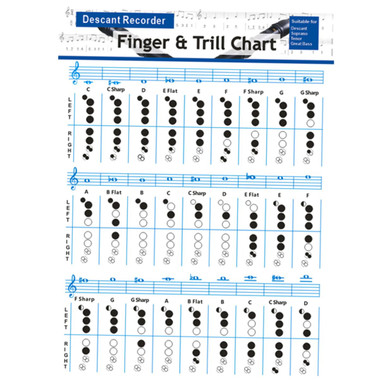 BESTonZON Practice Chord Chart for Flute Musical Posters Chord Chart ...