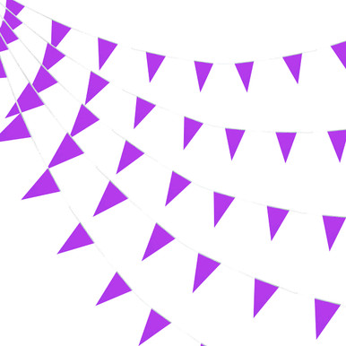 Consummate Purple Pennant Banners Flags String Hanging Triangle Bunting ...