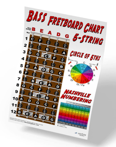 5 String Bass Fretboard Poster - Nashville Numbering System, Circle of ...