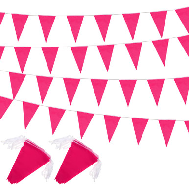 Panelee 300 Feet Blank Pennant Banners Flags String Hanging DIY 180 Pcs ...