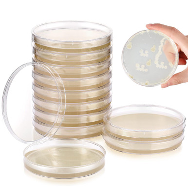 TrelaCo 10 Pcs Nutrient Agar Petri Dishes Prepoured Potato Dextrose ...