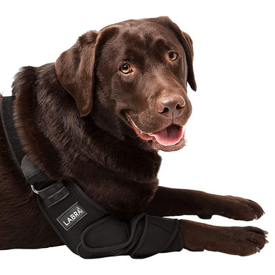 Labra Dog Canine K9 Shoulder Elbow Callus Pain Relief Brace - Hot Spot ...