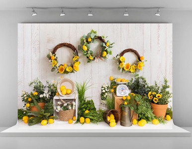 Kate 7x5ft Summer Lemon Shop Backdrops for Photography Lemonade Theme ...