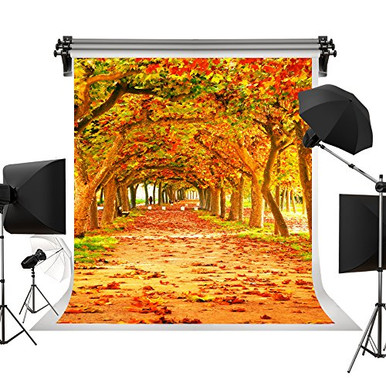 Kate 10X10/3X3m(W:3m H:3m) Fall Backdrop Yellow Photography Backdrops ...