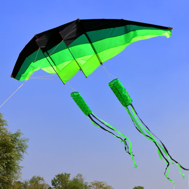 WEICAFLY Giant 3D Gliders Kite for Adults, 120" in Huge Single Line ...