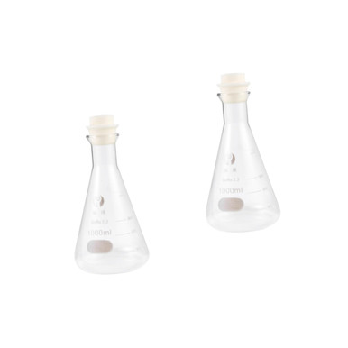 HEALEEP 2 Pcs Glass Flask for Laboratory Wide Mouth Conical Flask Glass ...