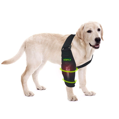 KISFLY Dog Front Leg Brace for Osteoarthritis Elbow Hygroma Dysplasia ...