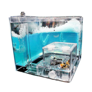 AttreX Large Acrylic Ant Farm Habitat Kits with Feeding Area Big Ants ...