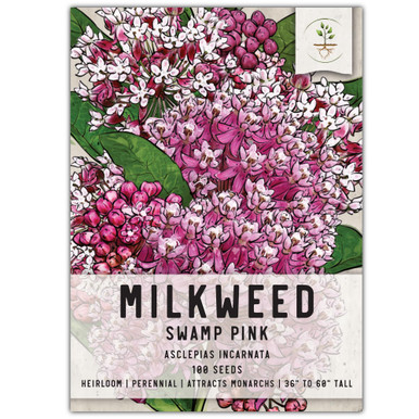 , Pink Swamp Milkweed Seeds - 100 Heirloom Seeds for Planting Asclepias ...