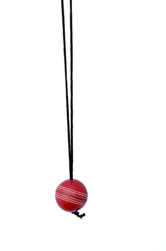Willow Cricket Hanging Ball for Bat Knocking and Practice, 1 Hard Ball ...