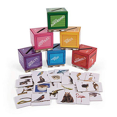 Fun Express Animal Classification Sorting Boxes-Classroom Curriculum ...