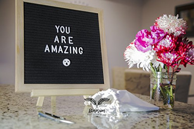 10x10 Felt Letter Board 510 White Changeable Letters, Numbers, Symbols ...