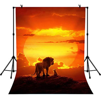 LYLYCTY 5x7ft Cartoon Backdrop of Lion King Fan's Photography ...